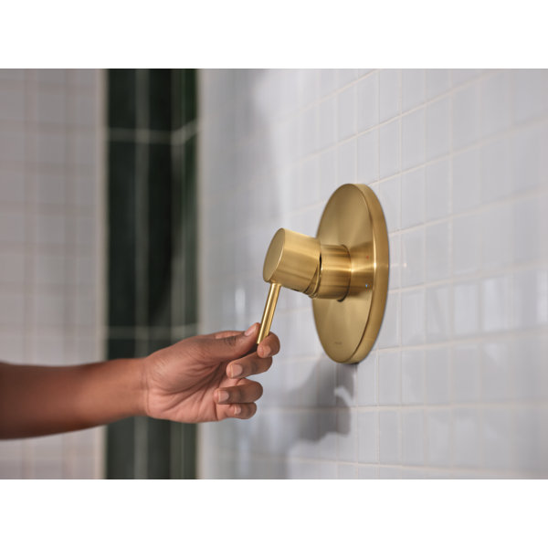 Moen Align M-CORE 3-Series 1-Handle Shower Trim Kit, Valve Required & Reviews | Wayfair